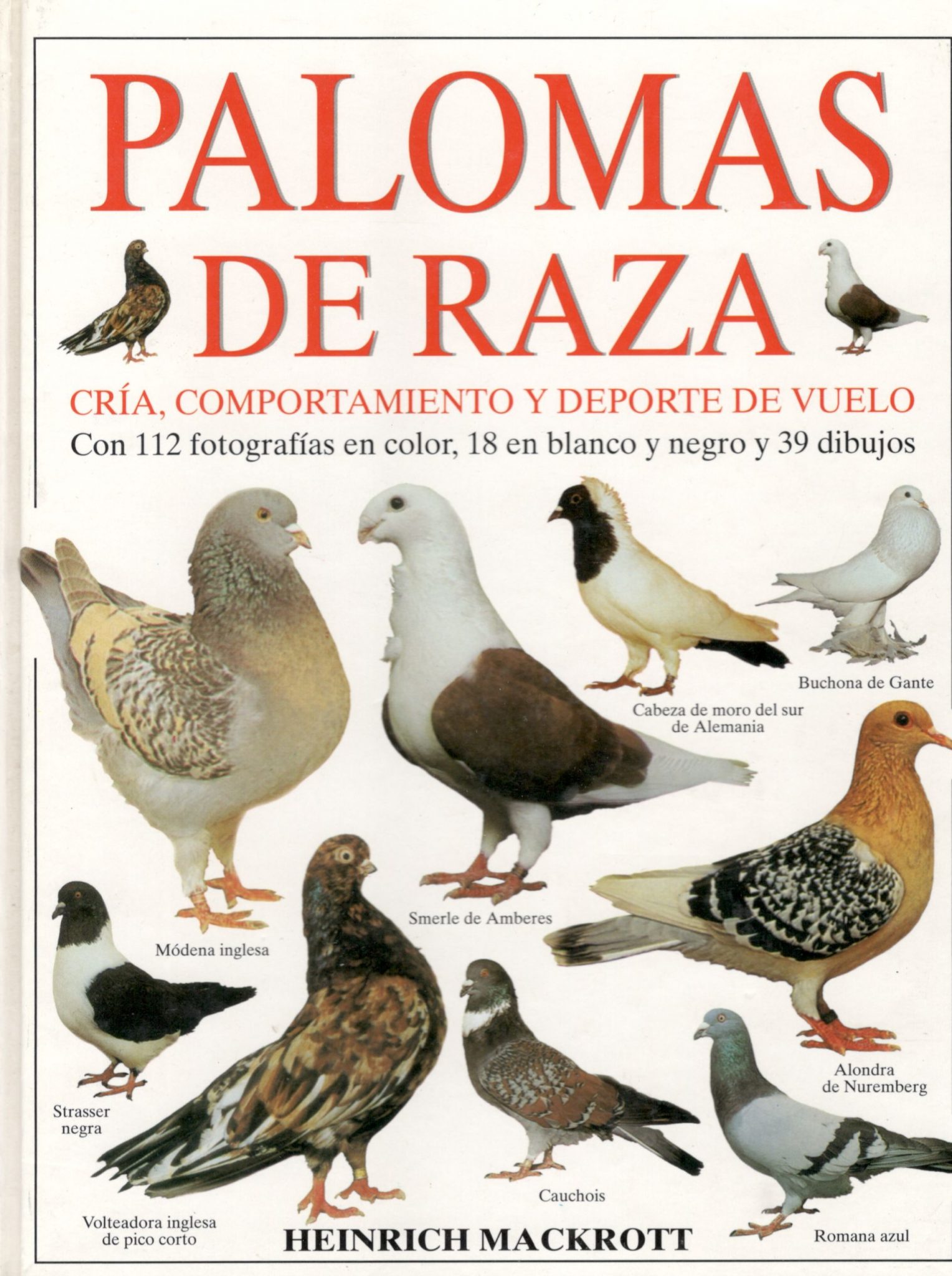 Palomas de raza. Cría. Comportamiento y deporte de vuelo. (1997) – Real ...
