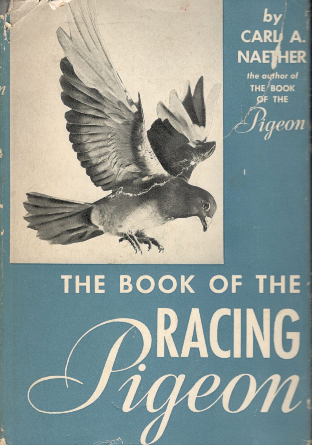 The book of the racing pigeon. (1950) – Real Federación Colombófila ...